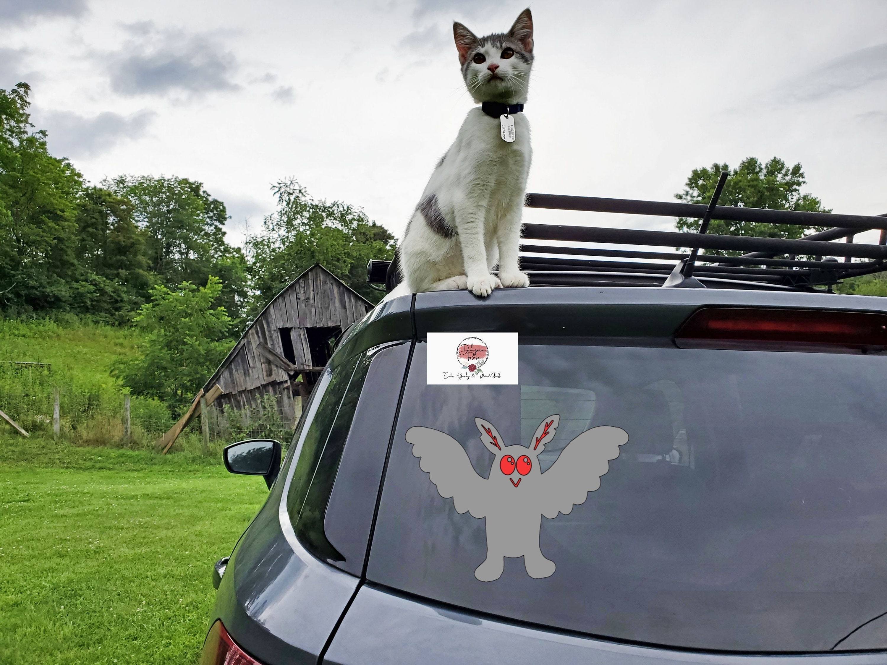 Cute Mothman Mothman Sticker Mothman Art Mothman Car Decal - Etsy Australia