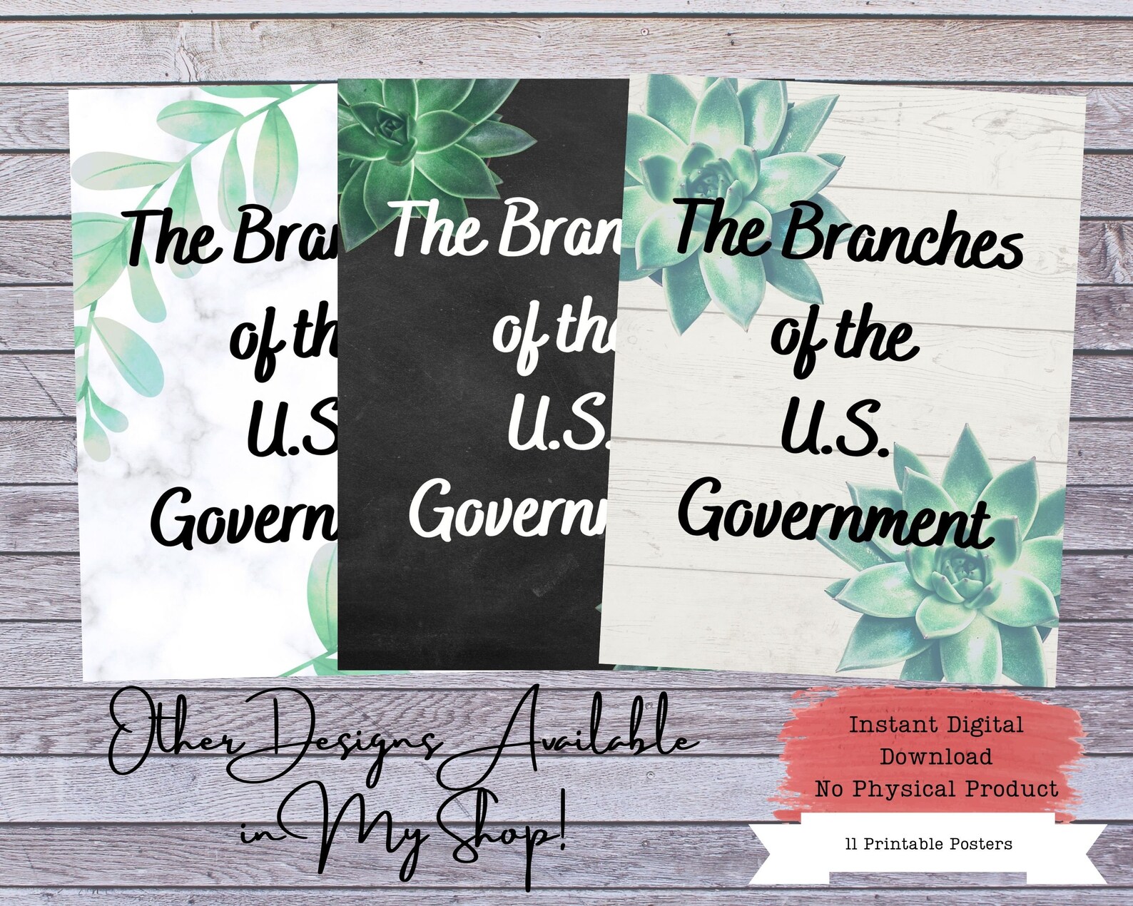 US Government Posters, History Decor, History Poster, Social Studies ...