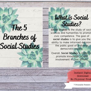 Social Studies Branches, History Classroom, History Class, History ...