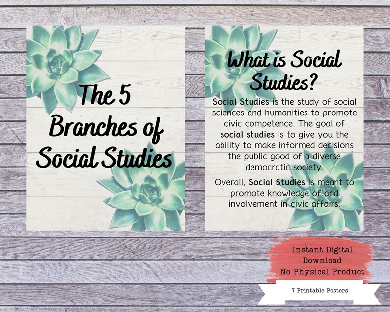 Social Studies Branches, History Classroom, History Class, History ...