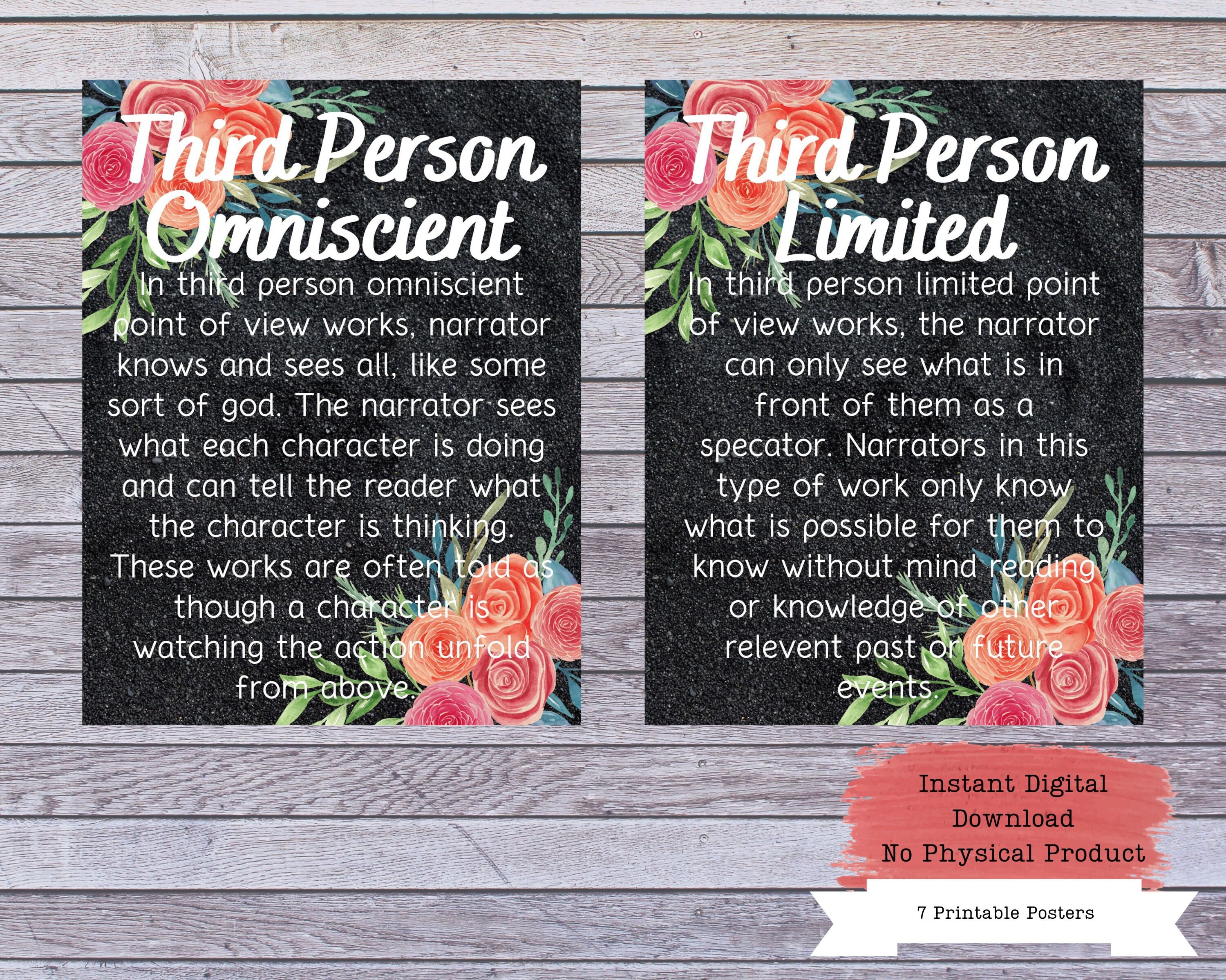Literary Point of View Printable Poster Set Literature - Etsy