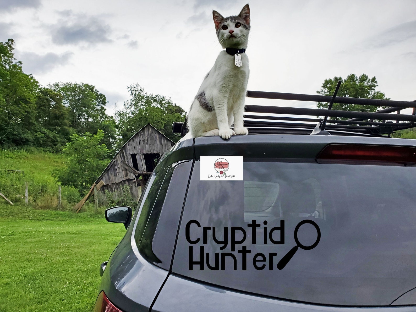 Cryptid Sticker Cryptid Core Cryptidcore Cryptid Decal - Etsy