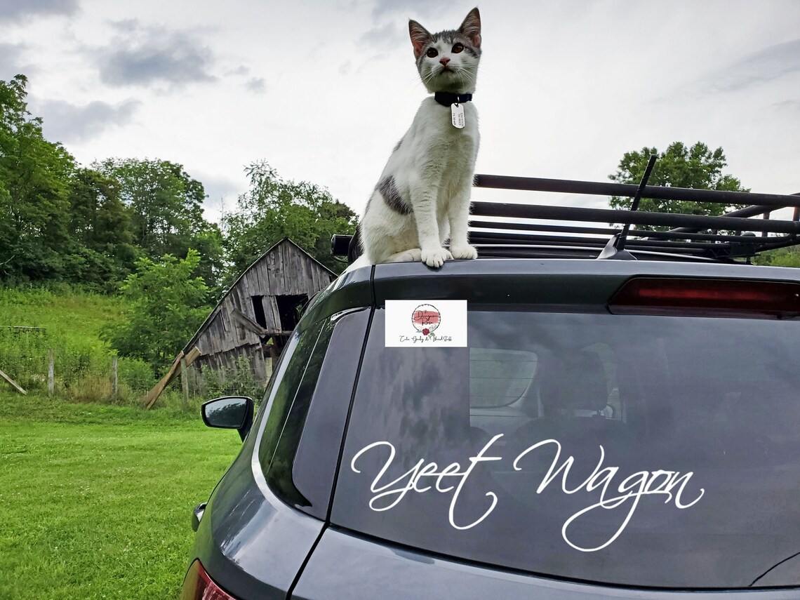 Yeet Sticker, Meme Car Decal, Meme Bumper Sticker, Yeet Decal, Yeet Oof ...