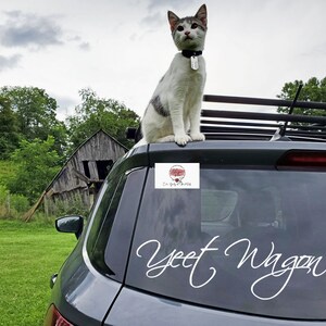 Yeet Sticker, Meme Car Decal, Meme Bumper Sticker, Yeet Decal, Yeet Oof ...