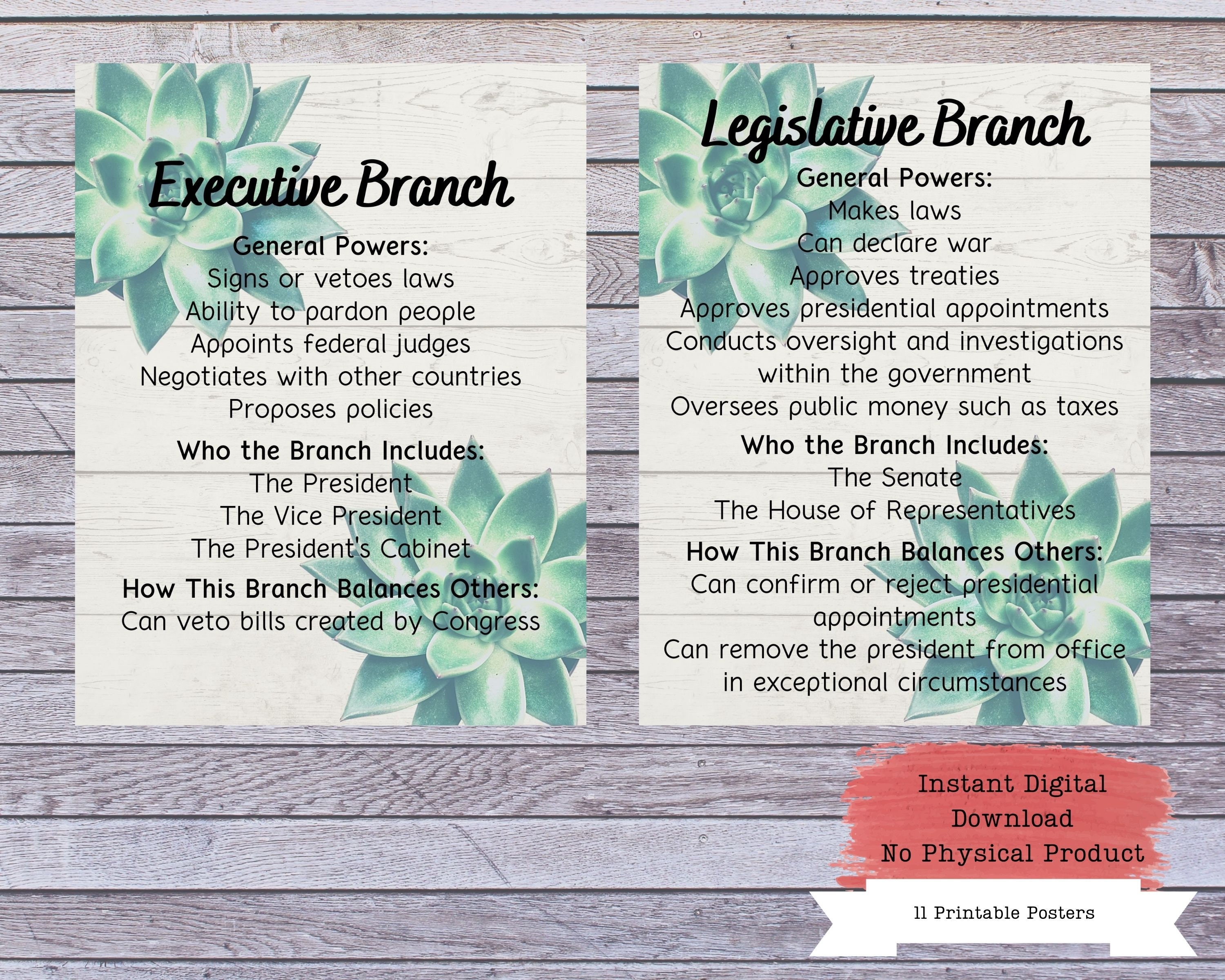 US Government Posters, History Decor, History Poster, Social Studies ...