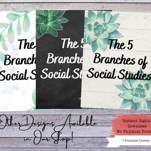 Social Studies Branches, History Classroom, History Class, History ...