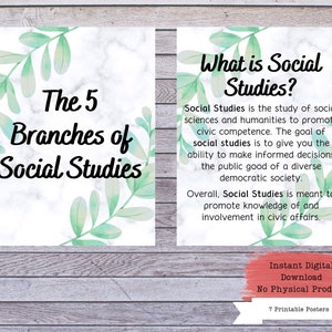 Social Studies Branches, History Classroom, History Class, History ...