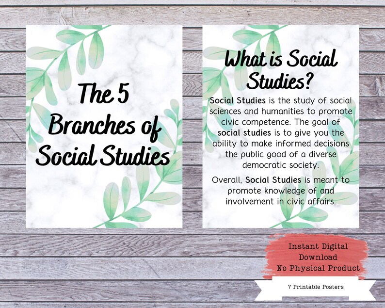 Social Studies Branches, History Classroom, History Class, History ...