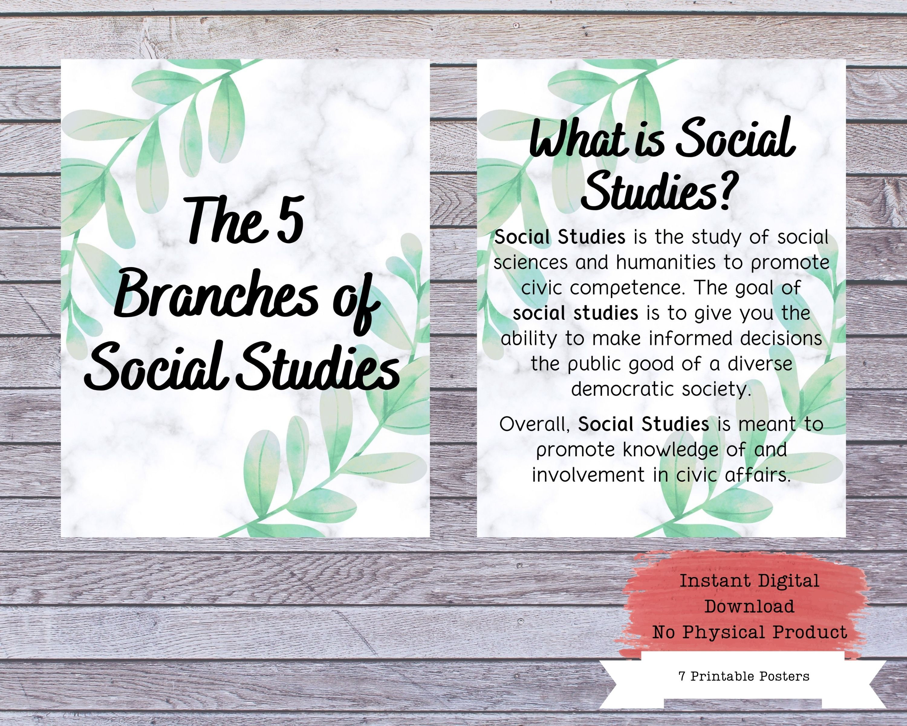 Social Studies Branches, History Classroom, History Class, History ...