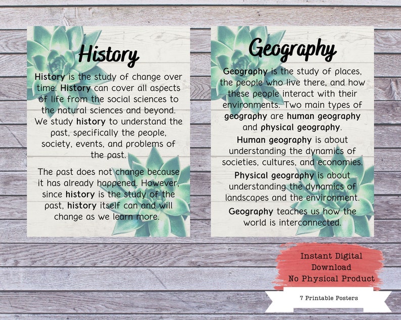 Social Studies Branches, History Classroom, History Class, History ...