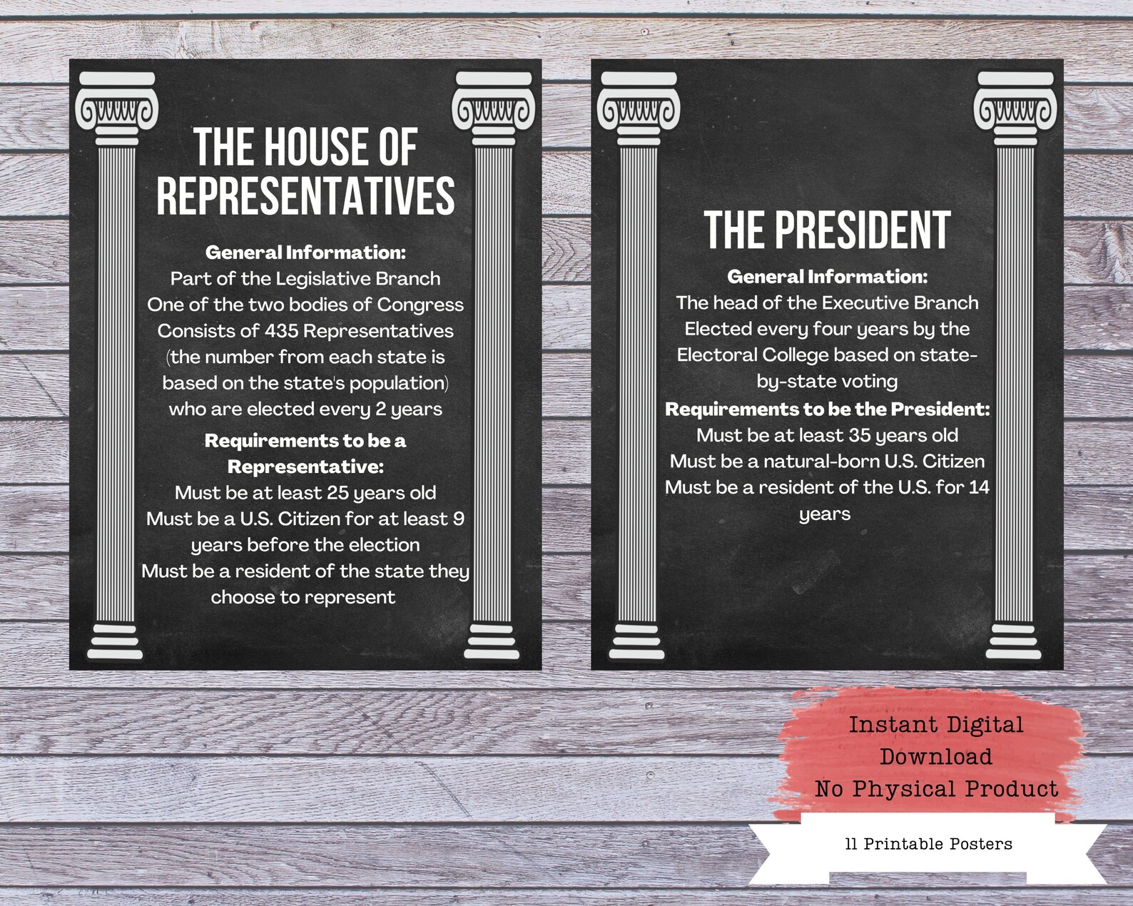 US Government Posters, History Decor, History Poster, Social Studies ...