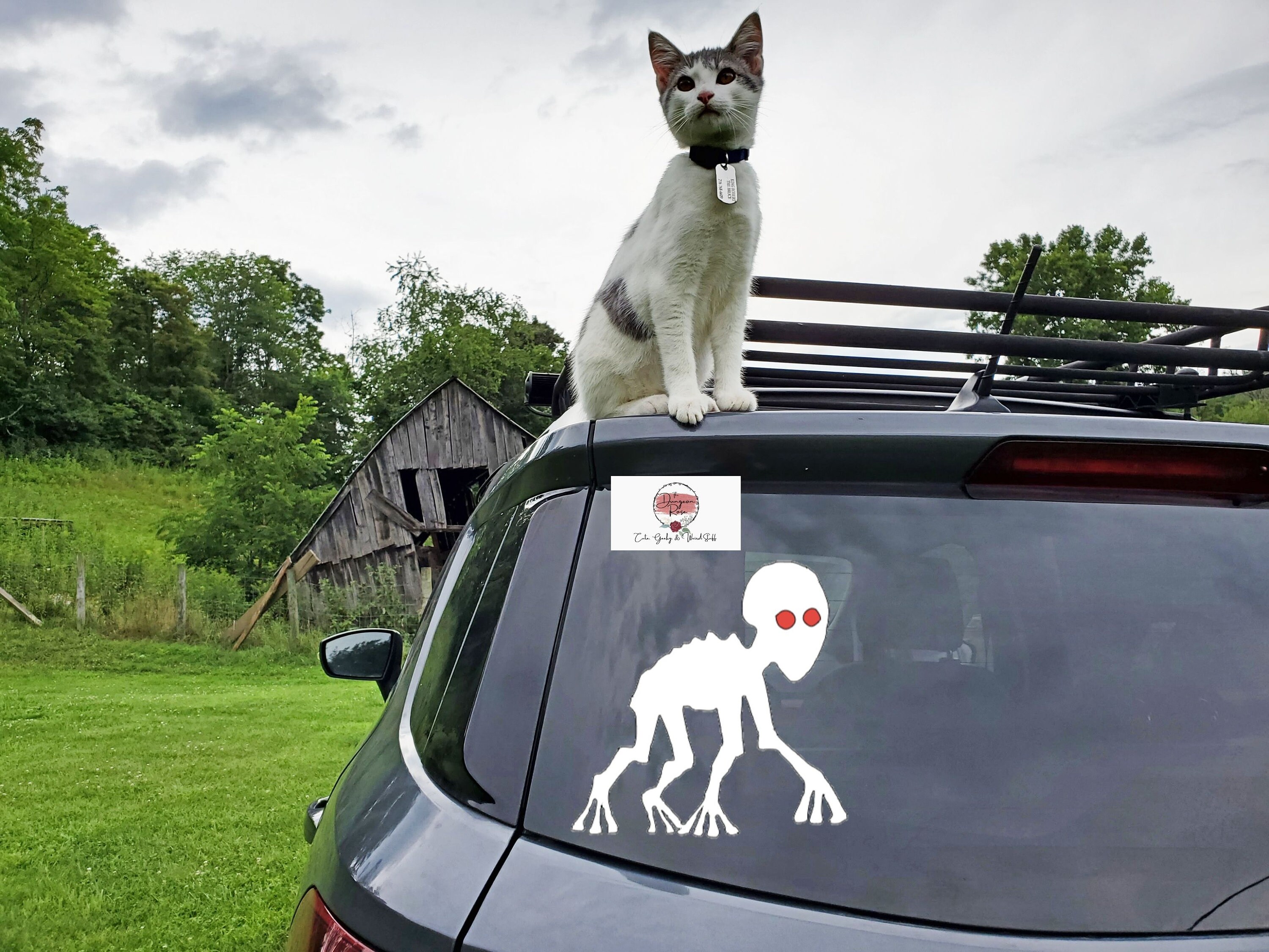 Dover Demon Cryptid Decal Cryptidcore Cryptid Liefde - Etsy België