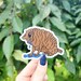 Squonk Cryptid Sticker, Cryptid Art, Cryptid Club, Cryptid Decor ...