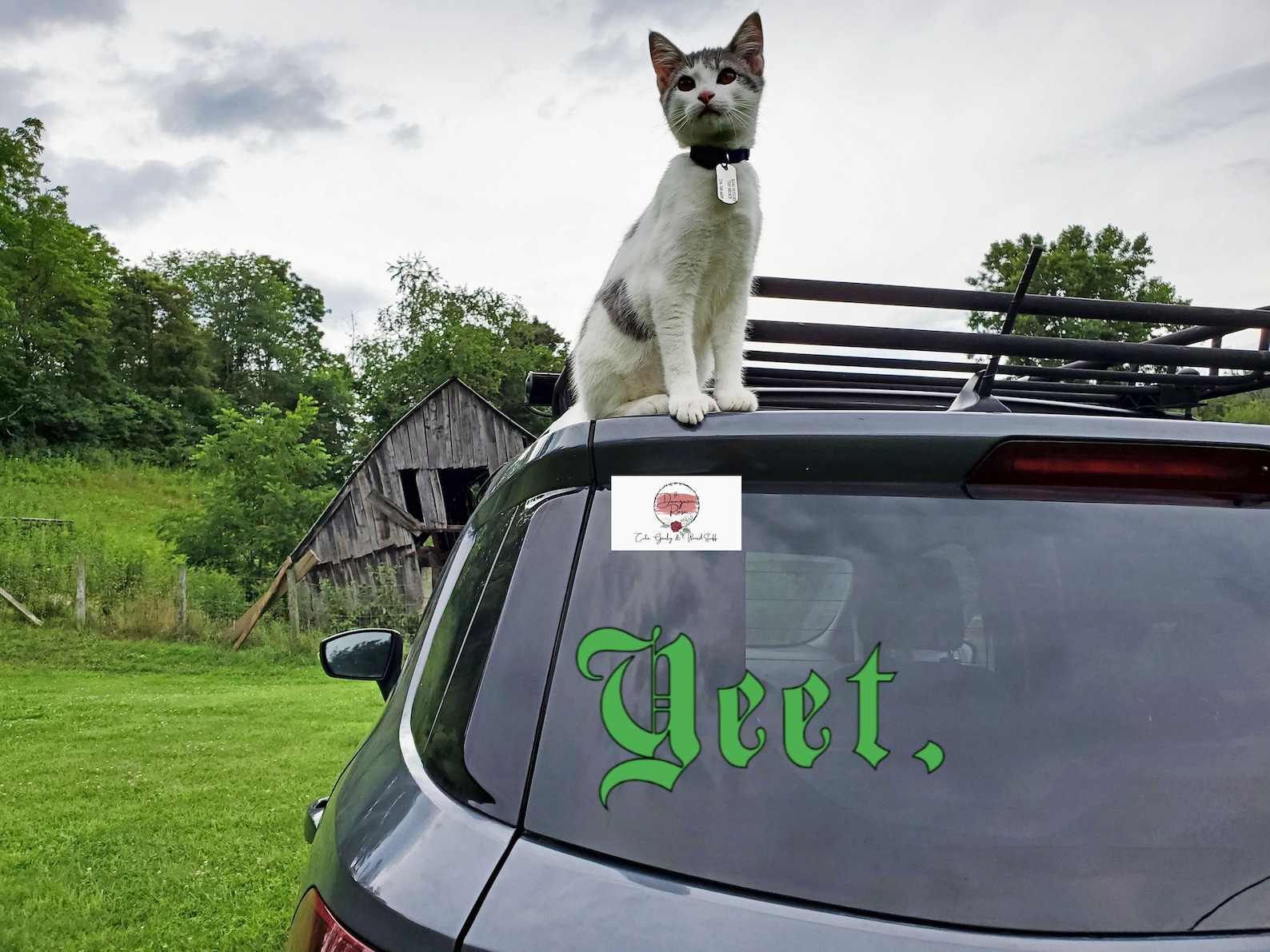 Yeet Sticker, Old English Font, Yeet Decal, Meme War Veteran, Yeet or ...