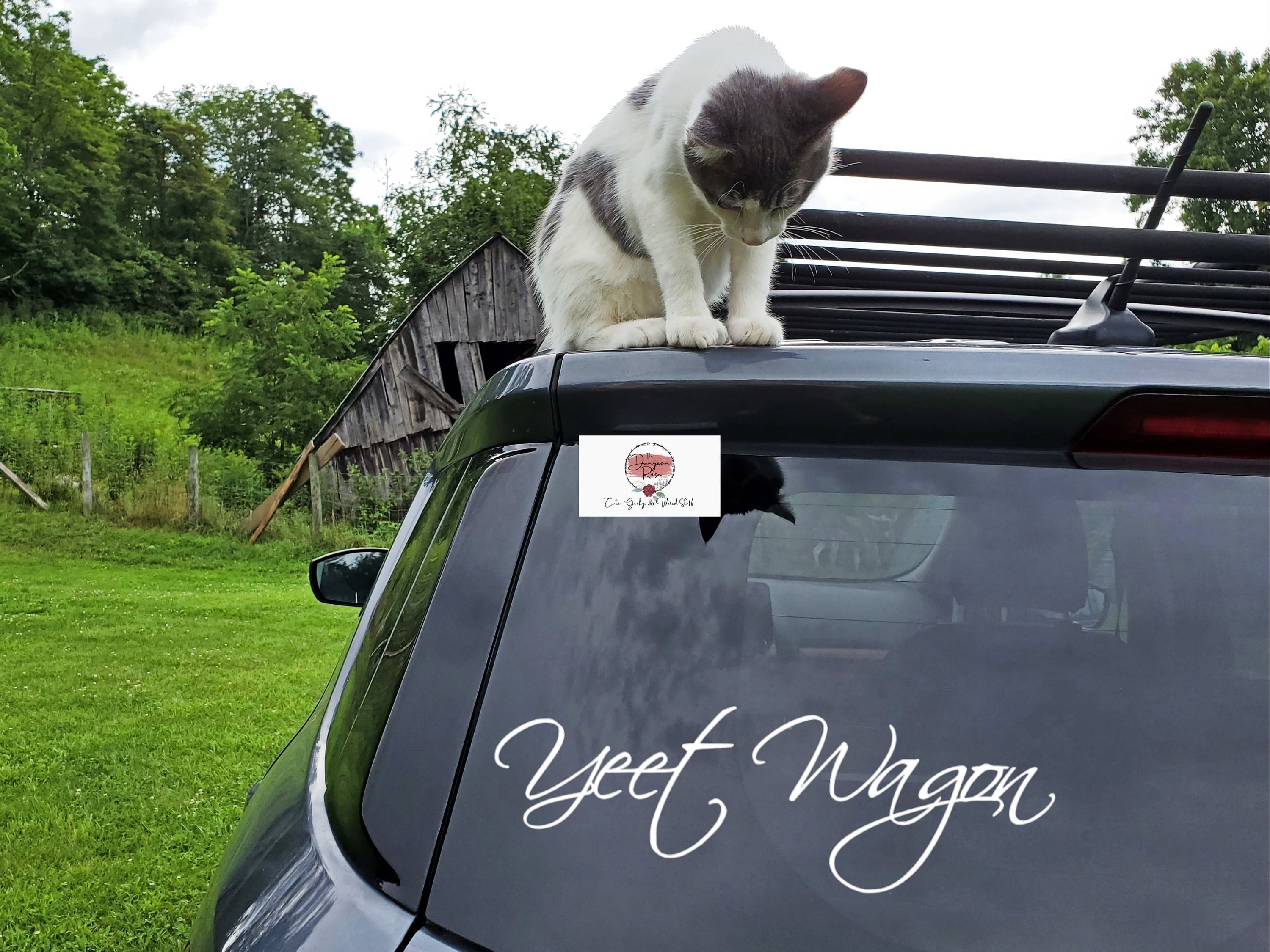 Yeet Sticker, Meme Car Decal, Meme Bumper Sticker, Yeet Decal, Yeet Oof ...