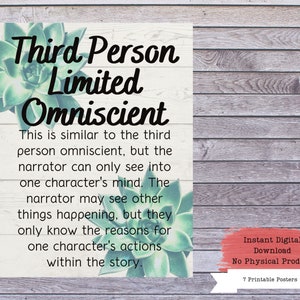 Literary Point of View Printable Poster Set, Literature Poster, High ...