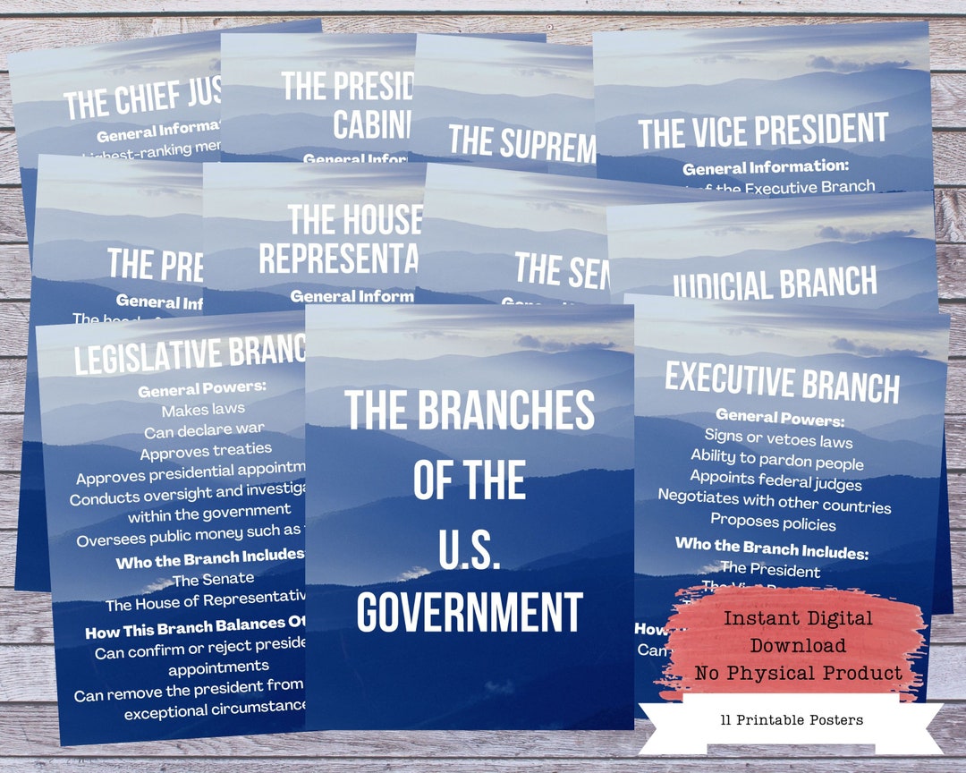 US Government Posters, History Decor, History Poster, Social Studies ...