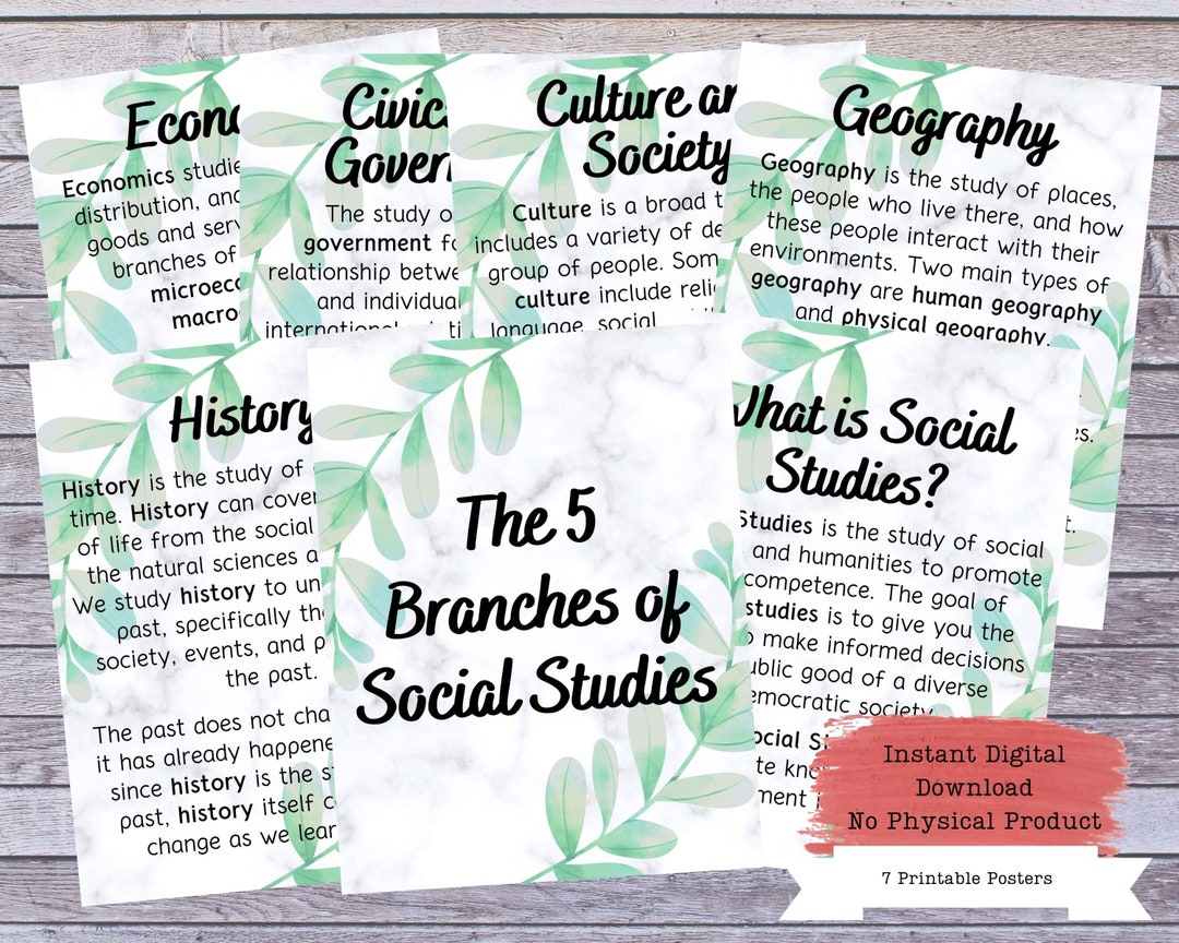Social Studies Branches, History Classroom, History Class, History ...