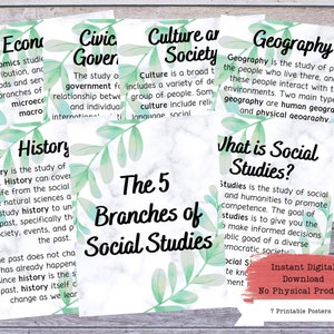 Social Studies Branches, History Classroom, History Class, History ...