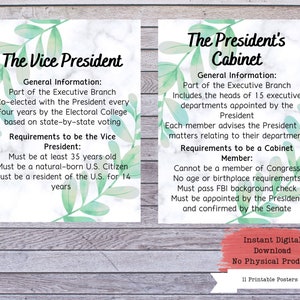 US Government Posters, History Decor, History Poster, Social Studies ...