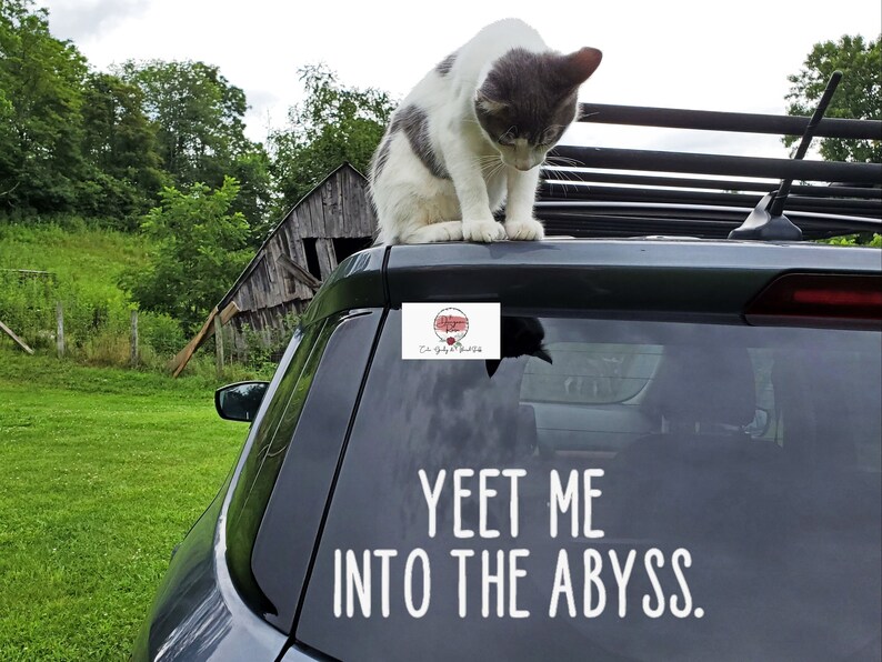 Yeet Me Into the Sun Yeet Decal Meme Gifts Yeet or Be - Etsy