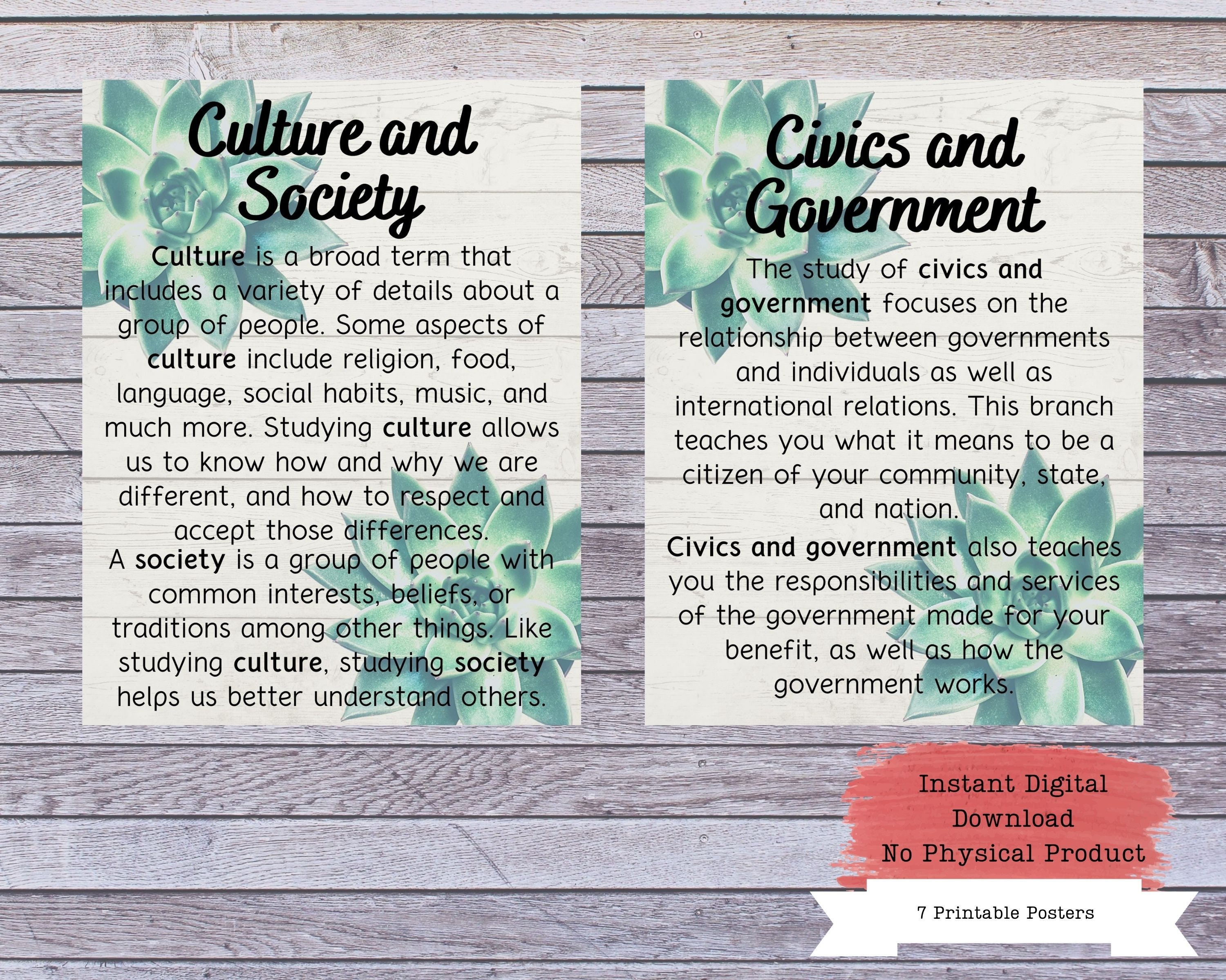 Social Studies Branches, History Classroom, History Class, History ...