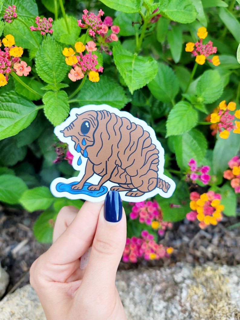 Squonk Cryptid Sticker Cryptid Art Cryptid Club Cryptid - Etsy