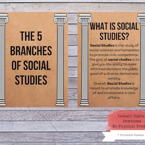 Social Studies Branches, History Classroom, History Class, History ...