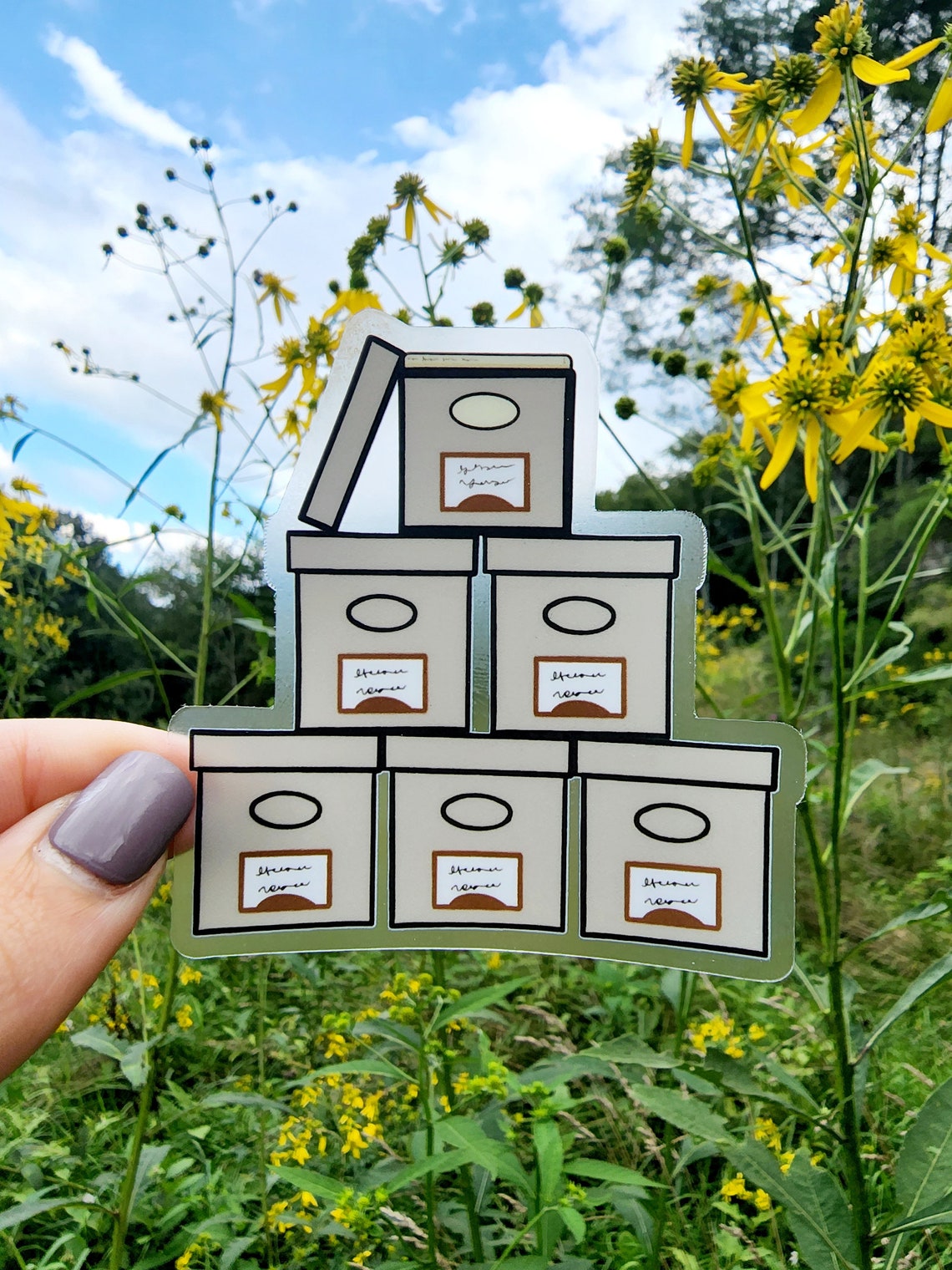 Archival Boxes Clear Sticker Archival Storage Archivist - Etsy