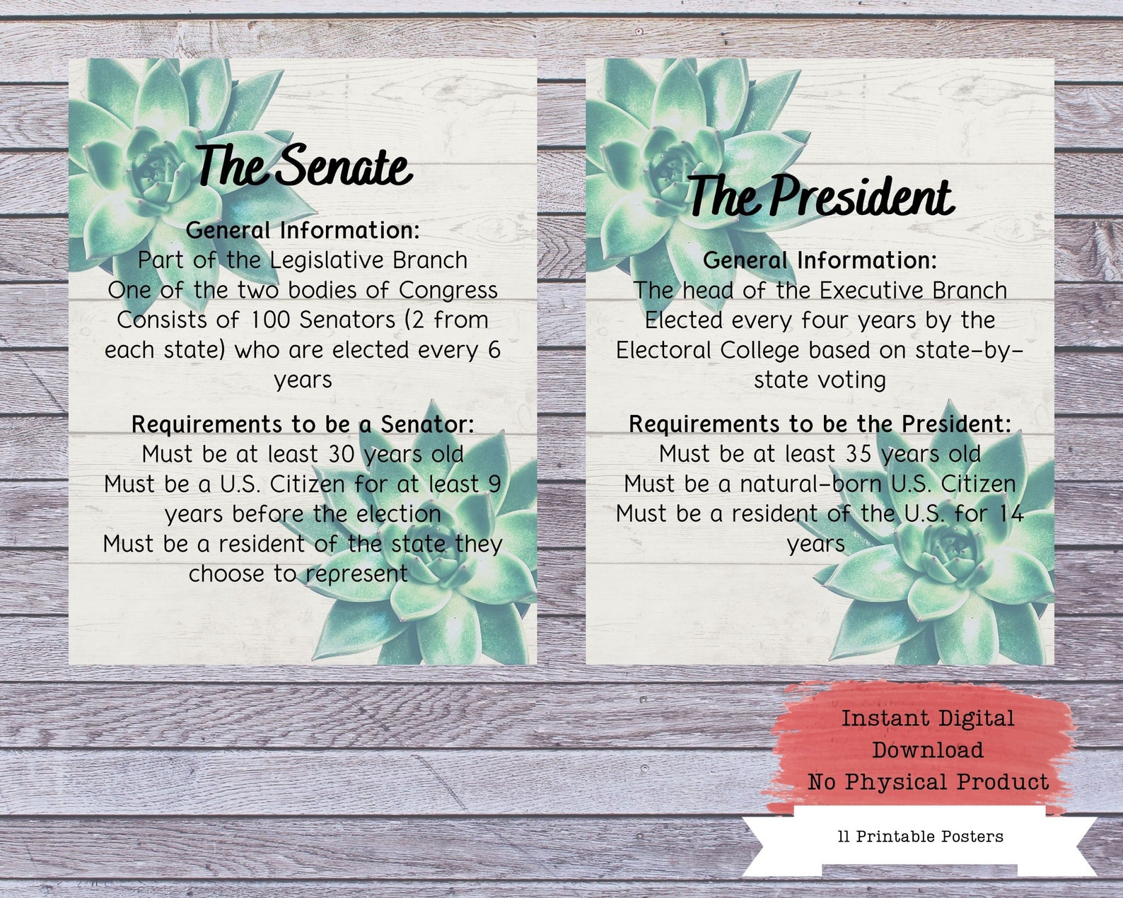 US Government Posters, History Decor, History Poster, Social Studies ...