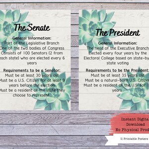 US Government Posters, History Decor, History Poster, Social Studies ...