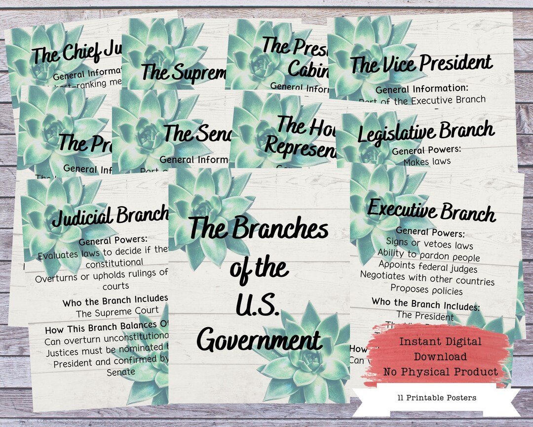 US Government Posters, History Decor, History Poster, Social Studies ...