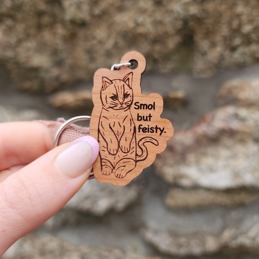 Smol but Feisty Cat Meme Keychain, Cat Keychain, Kitty Keychain, Weird ...