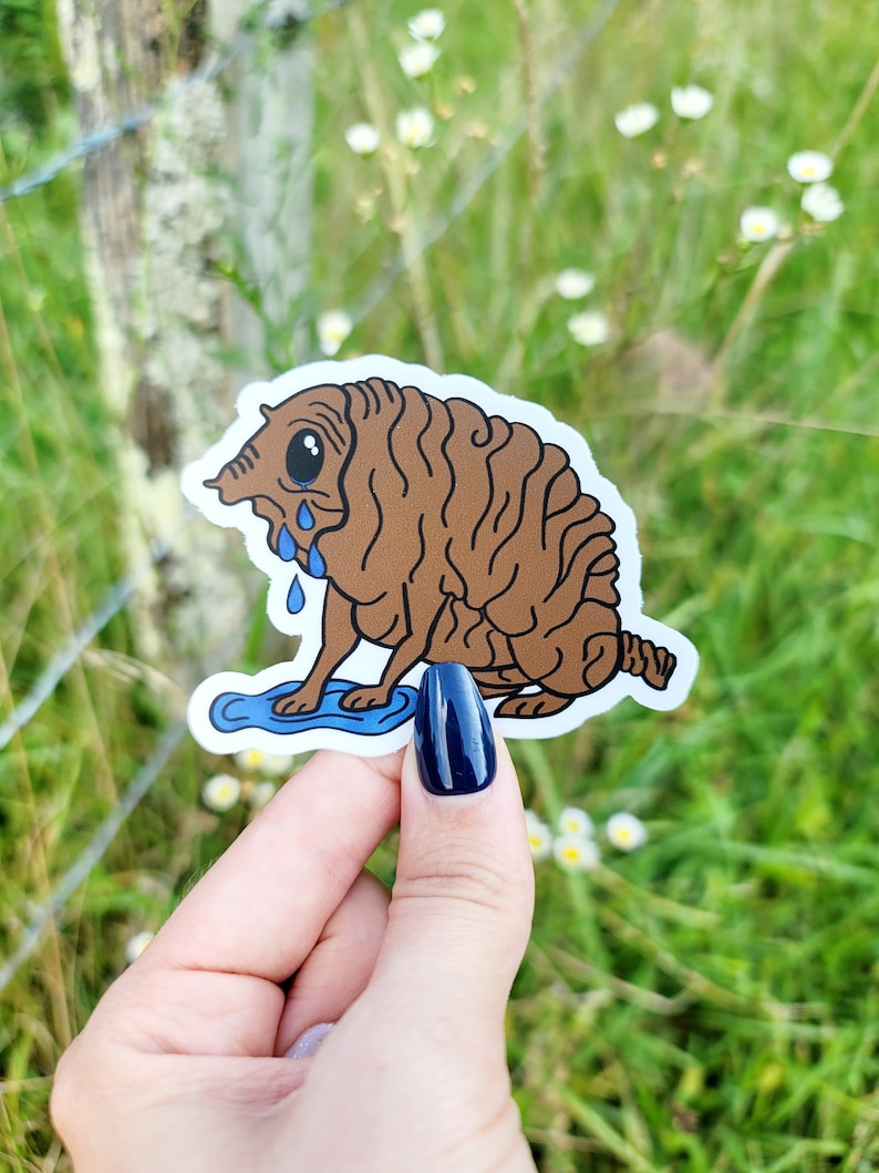Squonk Cryptid Sticker Cryptid Art Cryptid Club Cryptid - Etsy