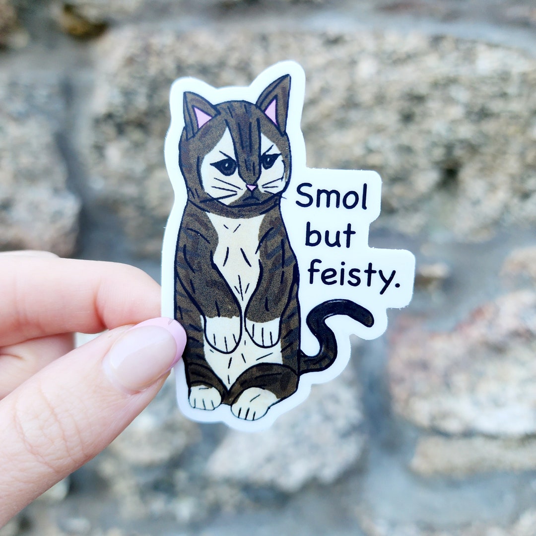 Smol but Feisty Cat Meme Sticker, Cat Sticker, Kitty Sticker, Weird Cat ...