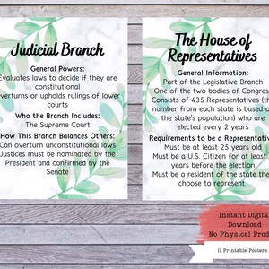 US Government Posters, History Decor, History Poster, Social Studies ...