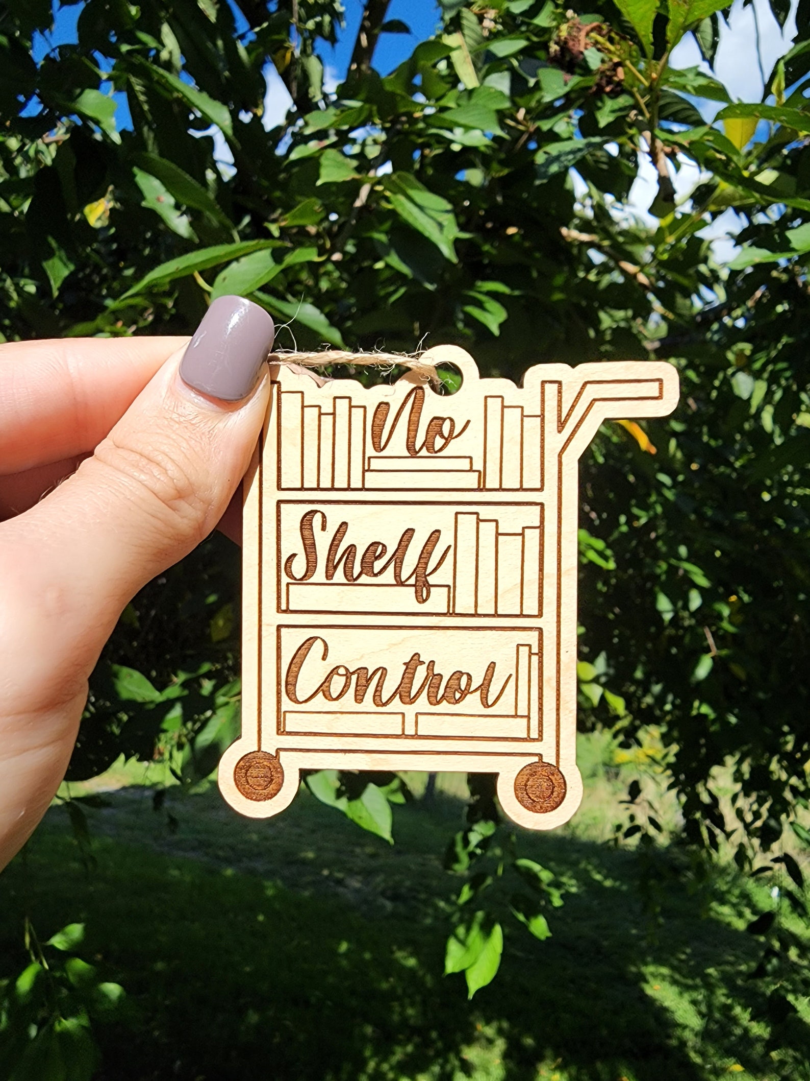 No Shelf Control Ornament Support Libraries Ornament Gifts - Etsy
