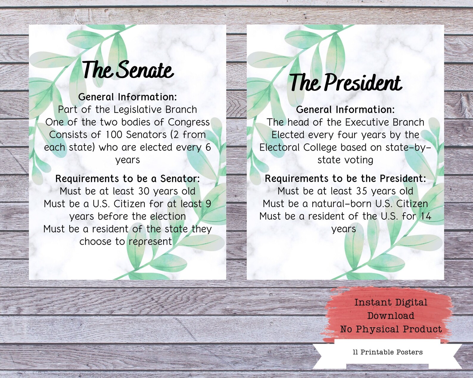 US Government Posters History Decor History Poster Social - Etsy