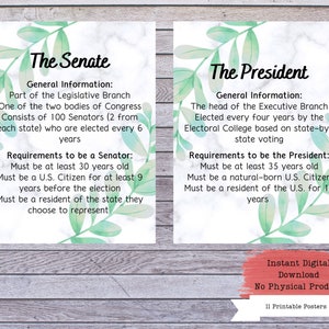 US Government Posters, History Decor, History Poster, Social Studies ...