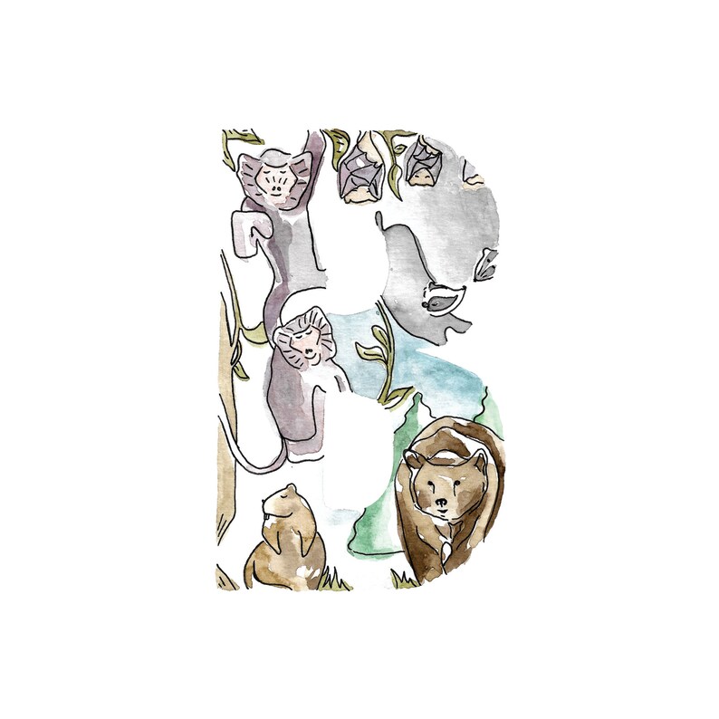 A-Z Animal Alphabet Poster - Etsy