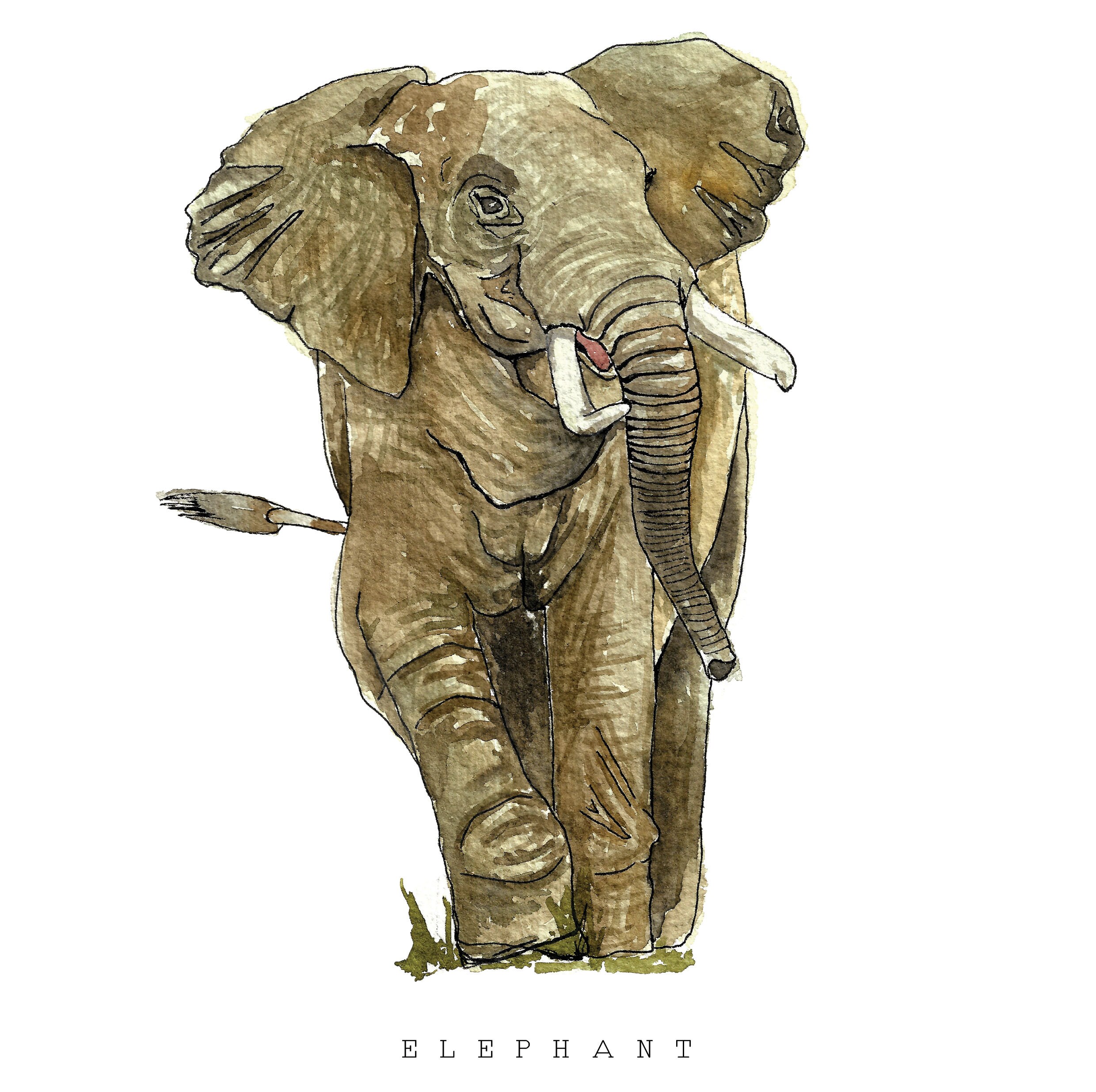 shop — feather.ink