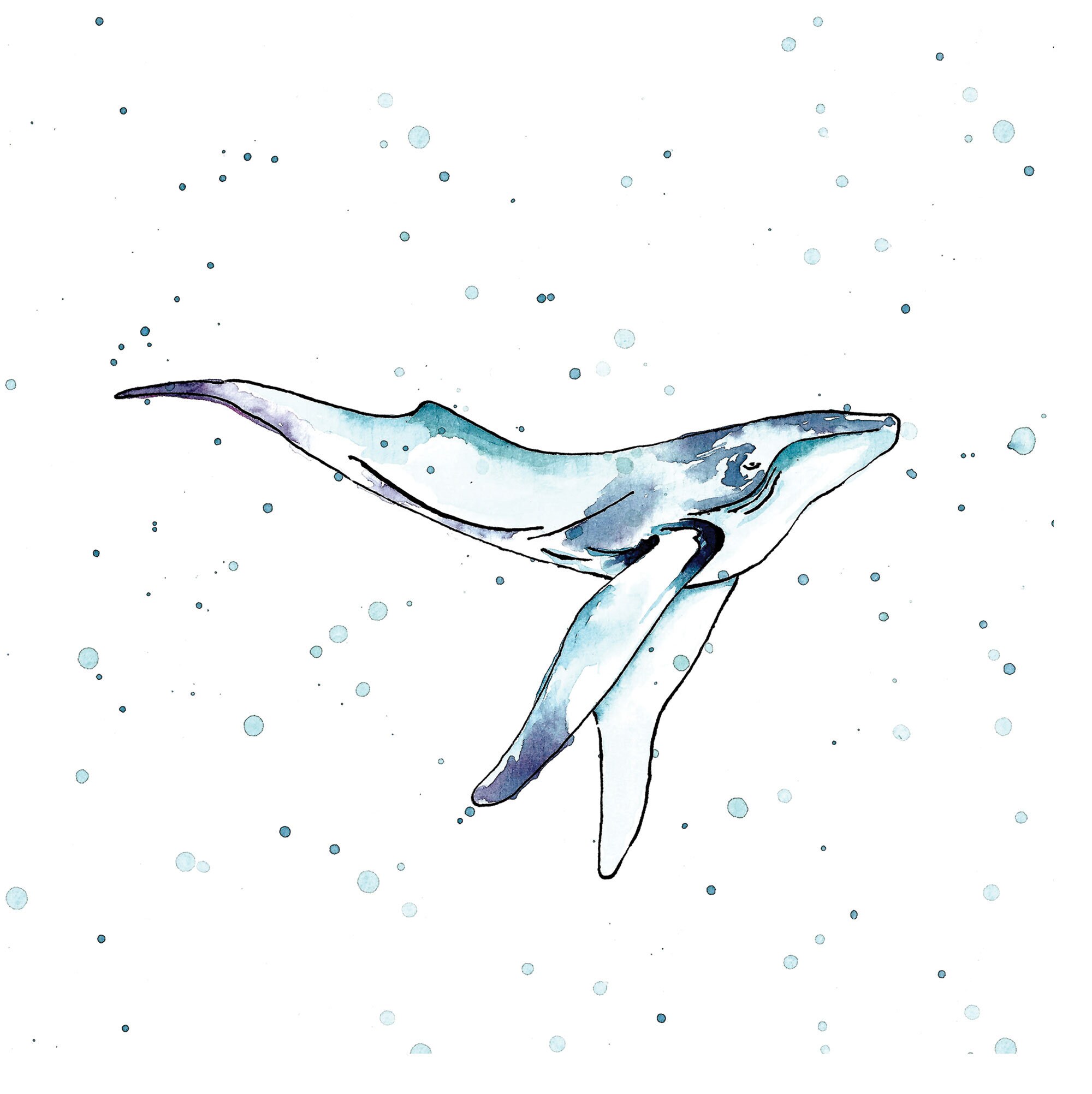 Humpback Whale print — feather.ink