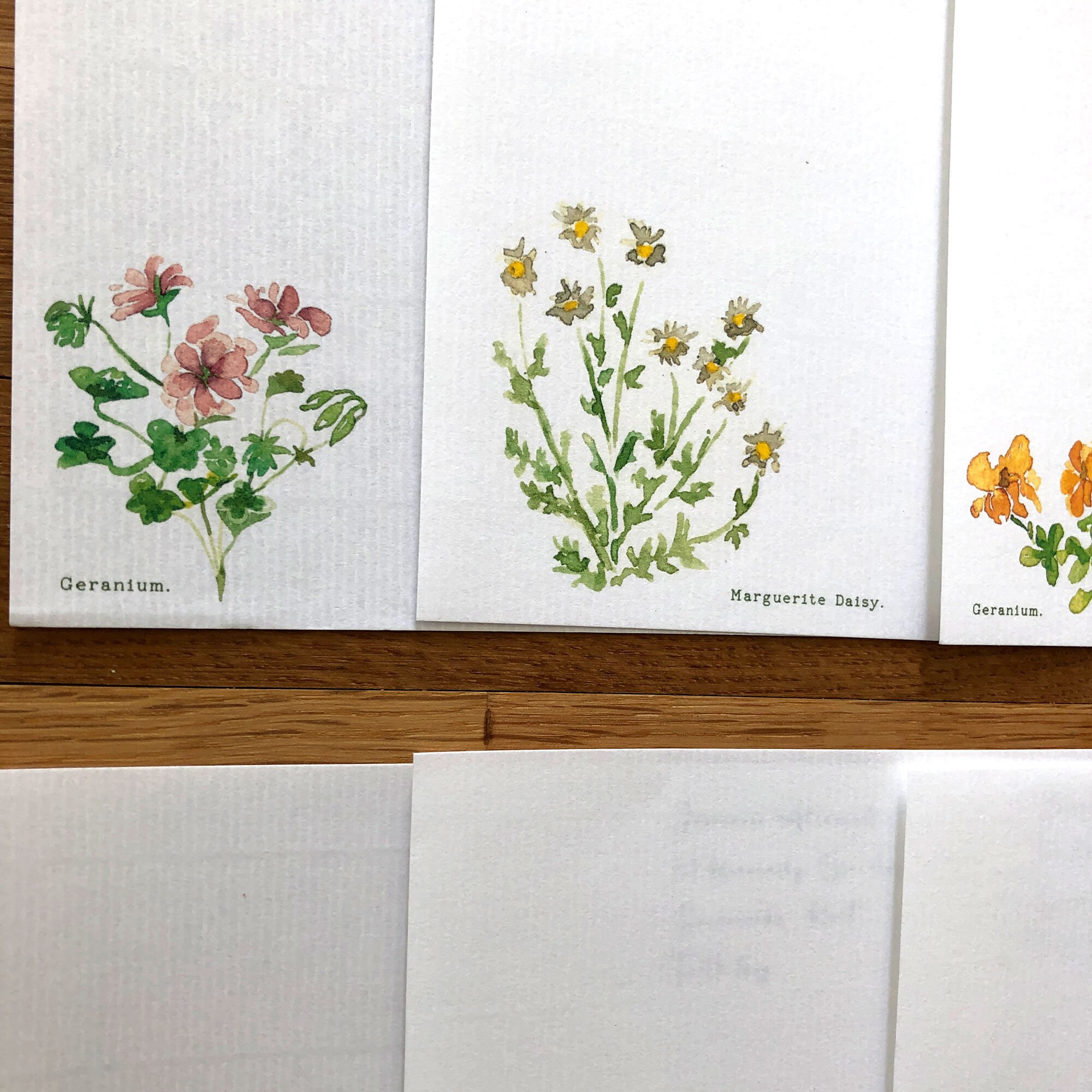 Floral writing set (12) — feather.ink