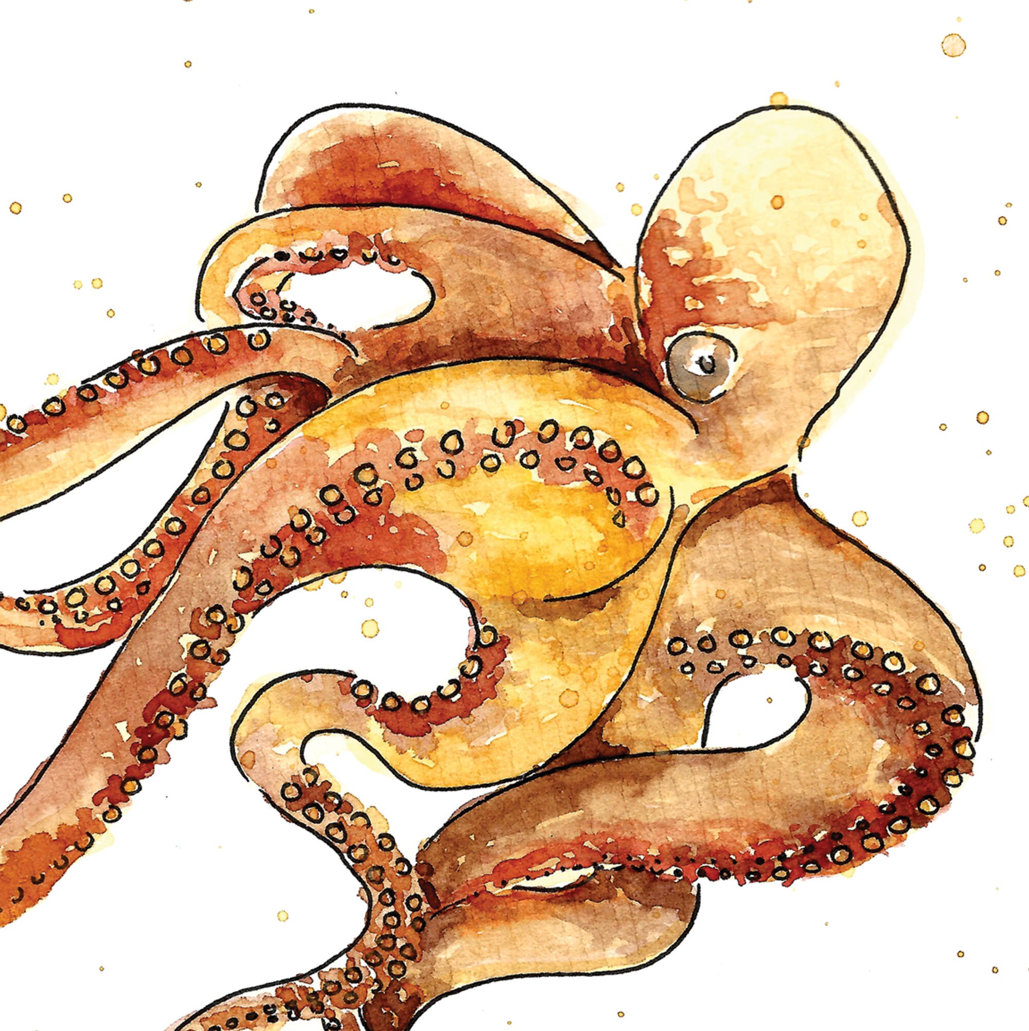 Octopus print — feather.ink