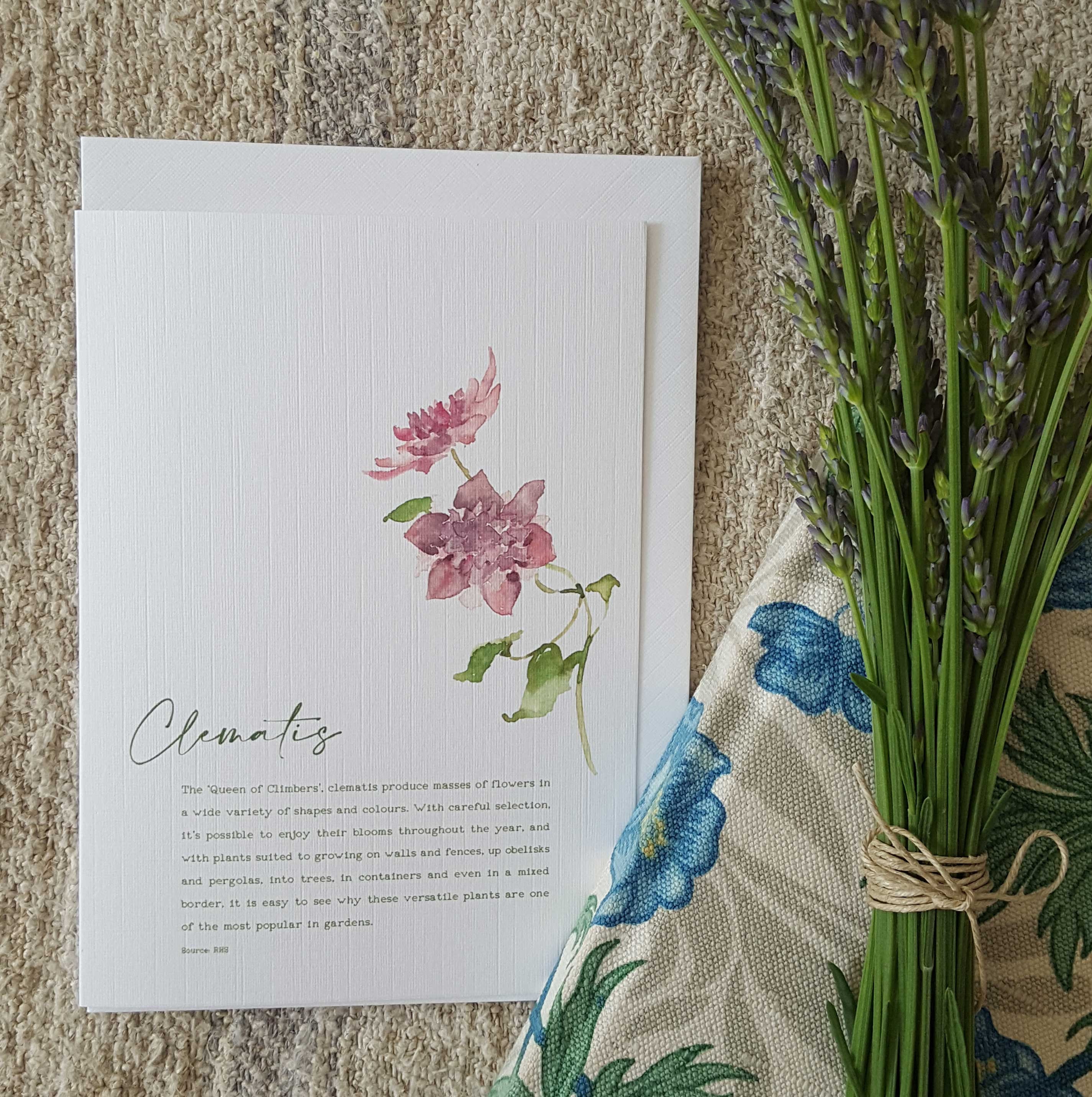Pack of 6 spring flowers cards — feather.ink
