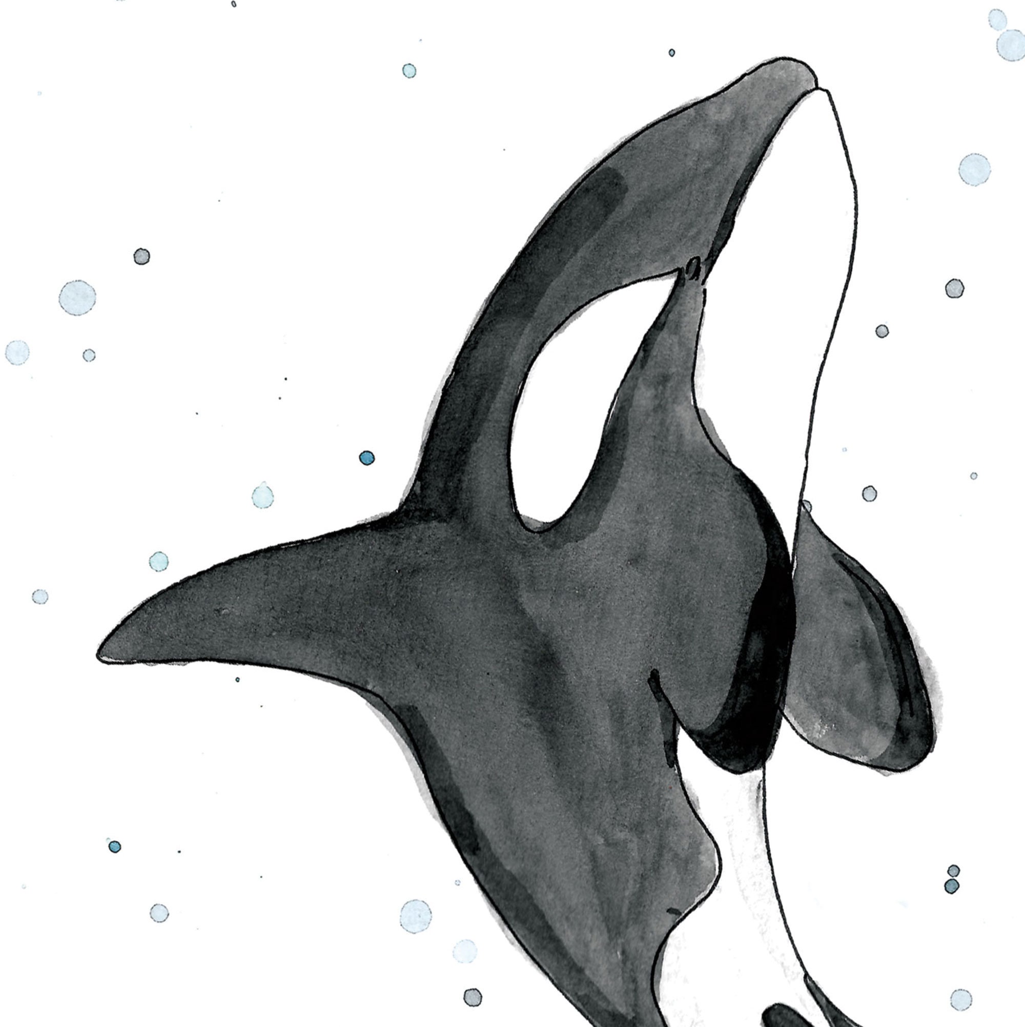 shop — feather.ink