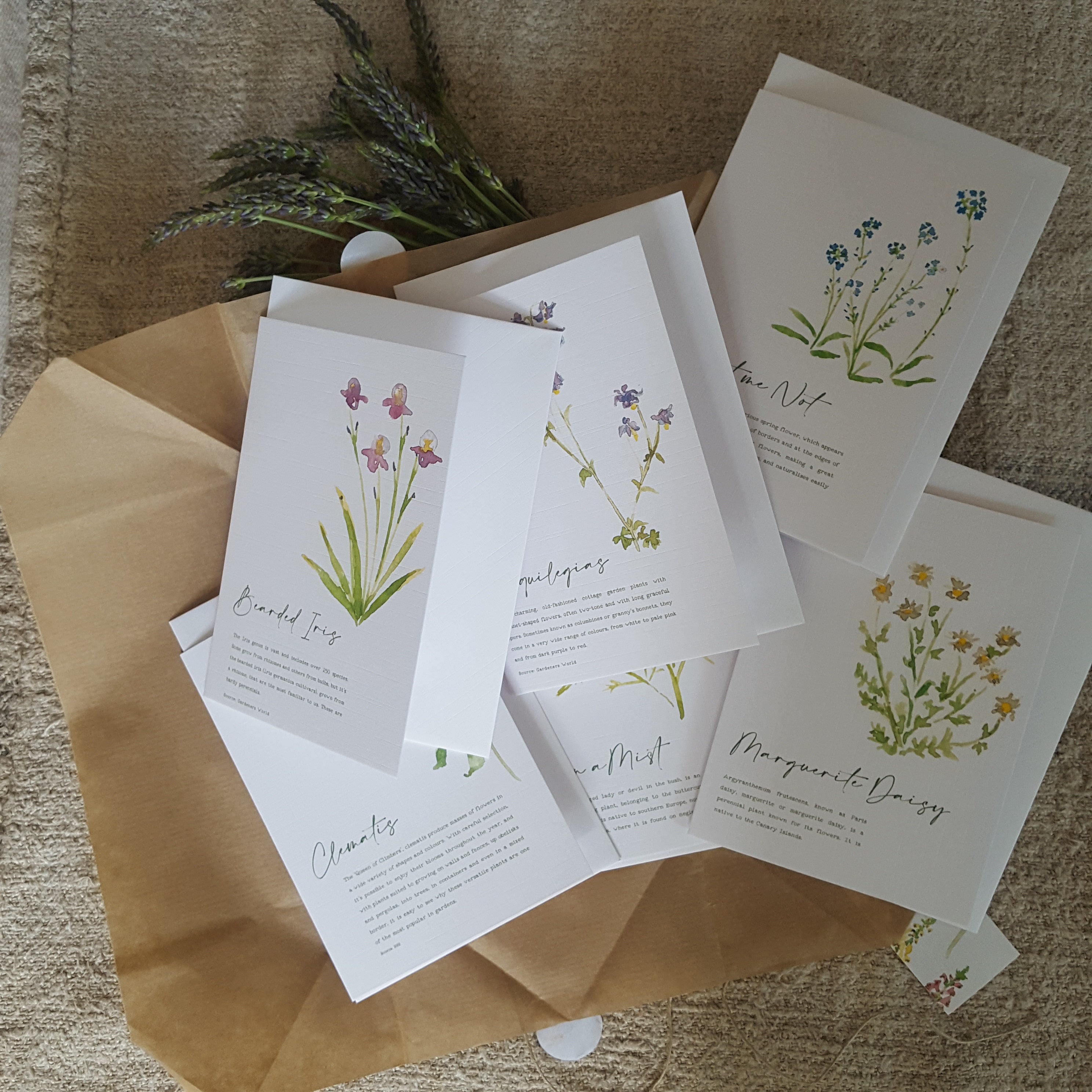 Pack of 6 spring flowers cards — feather.ink