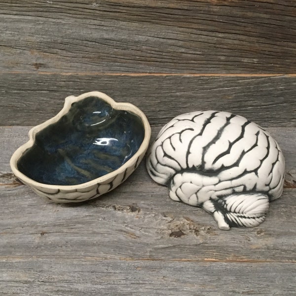 Brain Vase - Etsy