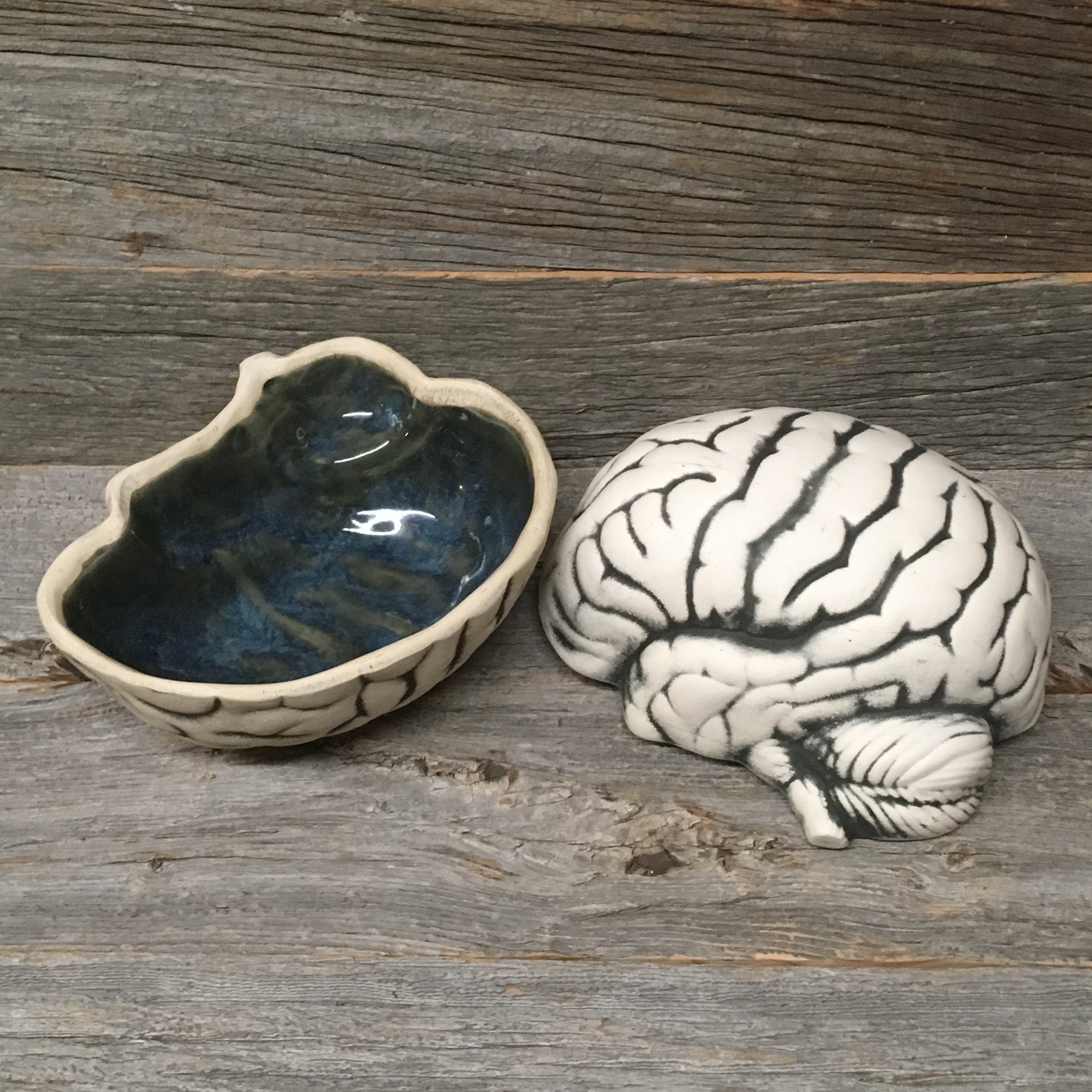 Brain Bowl | Etsy