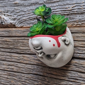 Wee Baby Head Planters - Etsy